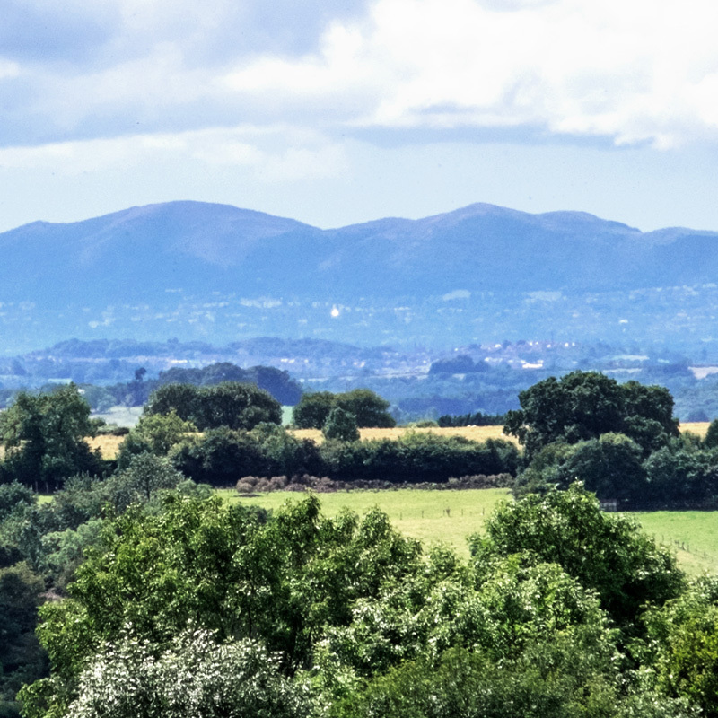Local Offices | Star Legal Solicitors